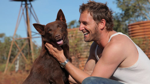 红犬历险记_电影_高清完整版视频在线观看_腾讯视频